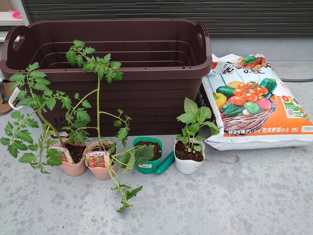 家庭菜園を始める | hirokuma.blog